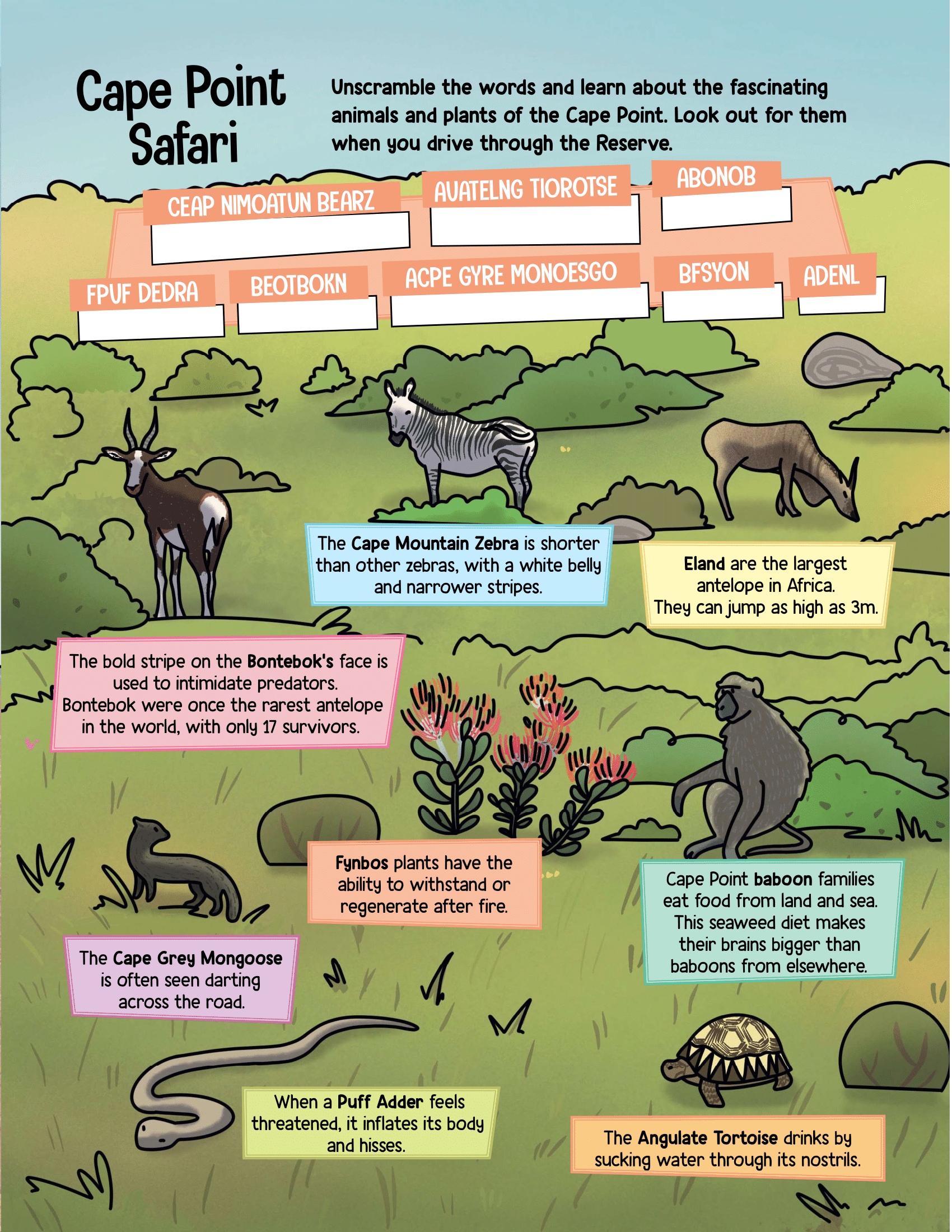 Cape Point National Park - kidsguidecapetown.com